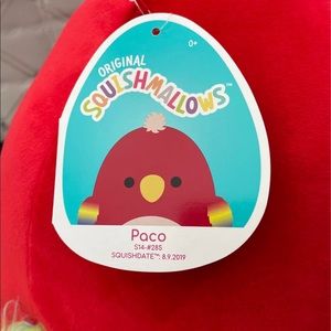 Kellytoy | Toys | Nwt Paco The Parrot Squishmallow | Poshmark